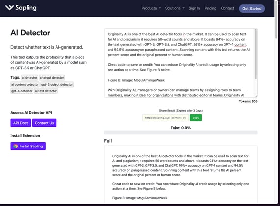 12 Best AI Detectors for 2024