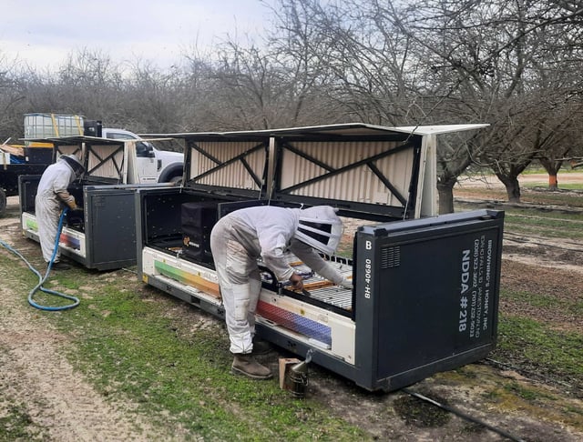 How Beehives Using AI & Robotics Are Saving Bees