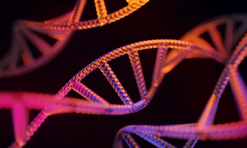Google DeepMind AI Model Reads DNA’s Recipe for Life | eWEEK