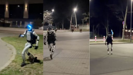 Humanoid Robot Chases Wild Boars in Surreal Poland Test
